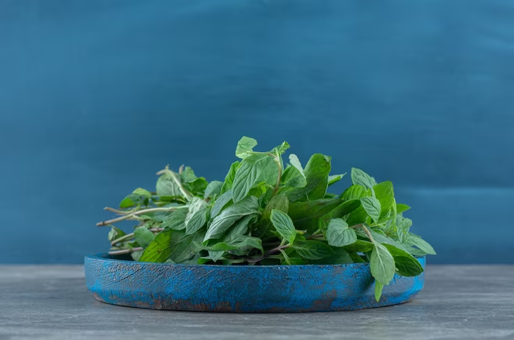 Fish Mint: Uses, Benefits, and Culinary Wonders — MACclite